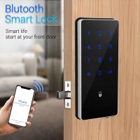 China Hot Sale Mini Electric Locker Lock Smart Remote Control Lock Gym Storage Box Lock for sale