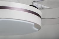 China RoHS 42inch Concealed Blade Ceiling Fan / Livingroom Ceiling Fan for sale