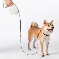 China 5M Long Extendable Dog Leash Traction Dorsal Automatic Retractable Dog Leash for sale