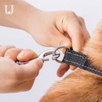 China 5M Long Extendable Dog Leash Traction Dorsal Automatic Retractable Dog Leash for sale