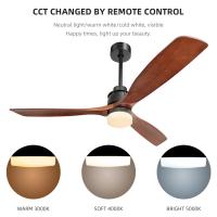 China Fashion Adjustable 65W 60 Inch 3 Blade Ceiling Fan Light 1500lm for sale