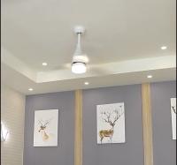 China Modern Style 75w ABS Blade Ceiling Fan for sale