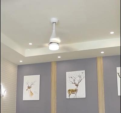 China Modern Style 75w ABS Blade Ceiling Fan for sale