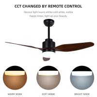 China Remote Control 3CCT 47Inch Iron Outdoor ABS Blade Ceiling Fan For Home Office for sale