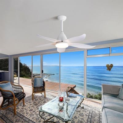 China Fancy Iron 3000K 35W 5 ABS Blade Ceiling Fan Lamp Big Natural Style for sale