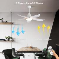 China Fancy Iron 3000K 35W 5 ABS Blade Ceiling Fan Lamp Big Natural Style for sale