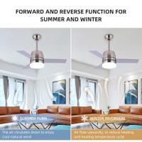 China 65W 3000K 36 Inch Ceiling Fan Light Iron 3 Blade Metal Ceiling Fan for sale