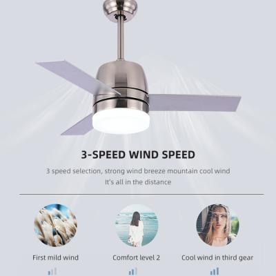 China Nordic Style 65W 3000K Modern Brushed Nickel Ceiling Fan With Light 36 Inch for sale