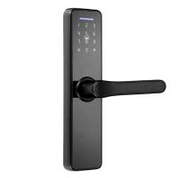 China App Double Sided Fingerprint Lock For Iron Gate Silver Black for sale