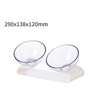 China Sustainable Transparent Double Bowl Dog Feeder Tilt Elevated Cat Food Bowls for sale