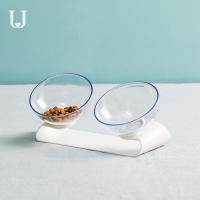 China Sustainable Transparent Double Bowl Dog Feeder Tilt Elevated Cat Food Bowls for sale