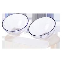 China Sustainable Transparent Double Bowl Dog Feeder Tilt Elevated Cat Food Bowls for sale