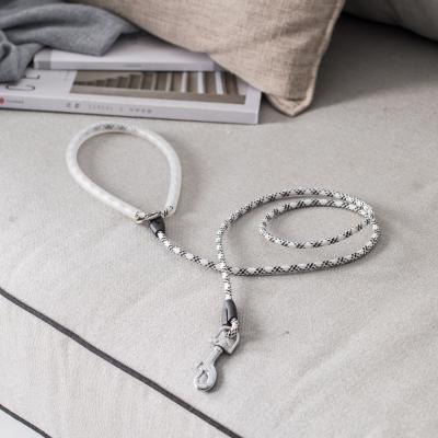 China Striped 150cm Polyester Chain Dog Lead Handle Puppy Training Leash for sale