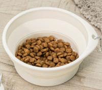 China Silicone Rounded Collapsible Pet Bowl Portable Travel Dog Dishes for sale