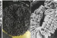 China +100 Mesh High Carbon Expanded Graphite for sale