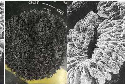 China +100 Mesh High Carbon Expanded Graphite for sale