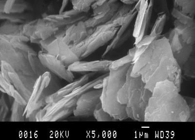 China Top Grade Expandable Graphite Powder With High Strength for sale