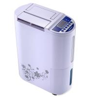 China Guangzhou Manufacturer Residential Small Dehumidifier 220V 12L/D Home Dehumidifier With Ionizer for sale