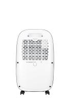 China High Capacity Dry Home Dehumidifier / Air Purifying Dehumidifier for sale