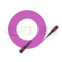 China Switchable Polarity MPO Patch Cable A/B Conversion Key Reversal 12 Fiber Tool-Free for sale