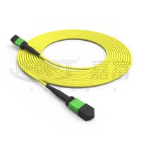 China 12-Core MPO Trunk Cable Single-Mode G657A1 3.0mm LSZH A/B Polarity Reversal Patch Cord for sale
