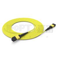 China 12-Core MPO Trunk Cable Single-Mode G657A1 3.0mm LSZH A/B Polarity Reversal Patch Cord for sale