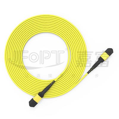 China 12-Core MPO Trunk Cable Single-Mode G657A1 3.0mm LSZH A/B Polarity Reversal Patch Cord for sale