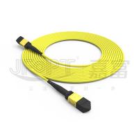 China MPO Connector 12 Cores SM Standard Loss Low Loss Fiber Patch Cord for Superior Performance for sale