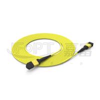 China MPO Connector 12 Cores SM Standard Loss Low Loss Fiber Patch Cord for Superior Performance for sale
