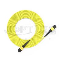 China 10 Gigabits MPO Trunk Cable 12 Core Low Loss for Data Center High Density Connection for sale