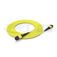 China 12 Cores MPO Trunk Cable LSZH 2.0mm Low Loss Single-Tube Mini Patch Cord for sale