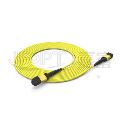 China 12 Cores MPO Trunk Cable LSZH 2.0mm Low Loss Single-Tube Mini Patch Cord for sale