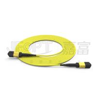 China 12 Cores MPO Trunk Cable LSZH 2.0mm Low Loss Single-Tube Mini Patch Cord for sale
