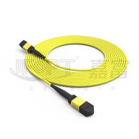 China 12 Cores MPO Trunk Cable LSZH 2.0mm Low Loss Single-Tube Mini Patch Cord for sale
