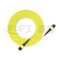 China 12 Cores MPO Trunk Cable LSZH 2.0mm Low Loss Single-Tube Mini Patch Cord for sale
