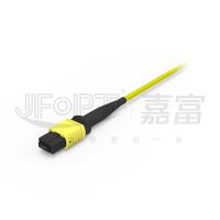 China 12 Cores MPO Trunk Cable LSZH 2.0mm Low Loss Single-Tube Mini Patch Cord for sale