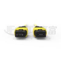 China 12 Cores MPO Trunk Cable LSZH 2.0mm Low Loss Single-Tube Mini Patch Cord for sale