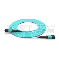 China Multimode OM3 MPO Fiber Optic Patch Cord 2.0mm Single-Tube Mini Connector Custom Length for sale