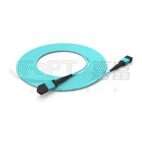China Multimode OM3 MPO Fiber Optic Patch Cord 2.0mm Single-Tube Mini Connector Custom Length for sale
