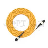China 850nm Multimode Low Loss Ferrule MPO Trunk Cable Multi-core Fiber Optic Patch Cord for sale