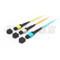 China 850nm Multimode Low Loss Ferrule MPO Trunk Cable Multi-core Fiber Optic Patch Cord for sale