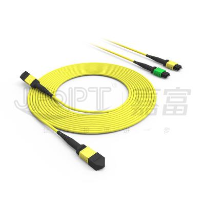 China 12 Core MPO Single Mode Fiber Patch Cord SM G657A1 Trunk Cable 1M LSZH for sale