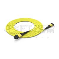 China 12 Core MPO Single Mode Fiber Patch Cord SM G657A1 Trunk Cable 1M LSZH for sale