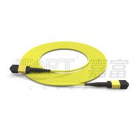 China 12 Core MPO Single Mode Fiber Patch Cord SM G657A1 Trunk Cable 1M LSZH for sale