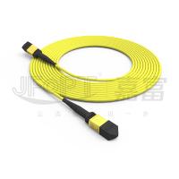 China 12 Core MPO Single Mode Fiber Patch Cord SM G657A1 Trunk Cable 1M LSZH for sale