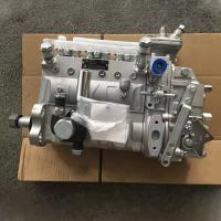 China Excavator Spare Parts WP6G125E Diesel Injection Pump B6AD548G-R BH6PN120R 13053063 for SDLG Machinery for sale