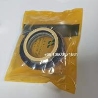 China Bucket Cylinder Seal Kit for CAT Excavator Repair Kit 385-2946 3852946 E318D2L for sale