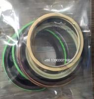 China Excavator Machinery Arm Cylinder Repair Kit for CASE CX210 Hydraulic ARM Cylinder Seal Kits LZ007640 for sale