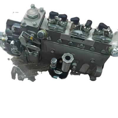 China High Quality 101609-9170 Fuel Injection Pump S6K 3066 E320CL Engine Injection Pump 1253018 101609-9360 for  Excavator for sale