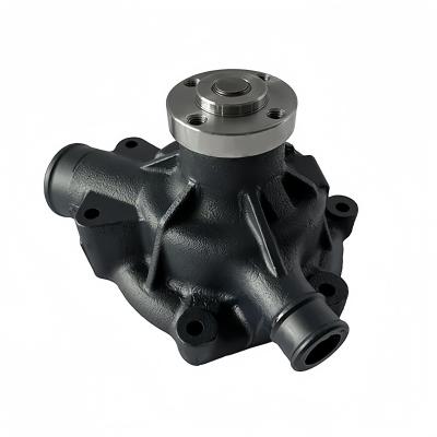 China WP6G125 ENGINE WATER PUMP 4110003435017 1000054021 for WEICHAI DEUTZ SDLG LG936/LG946/G9138 PARTS for sale
